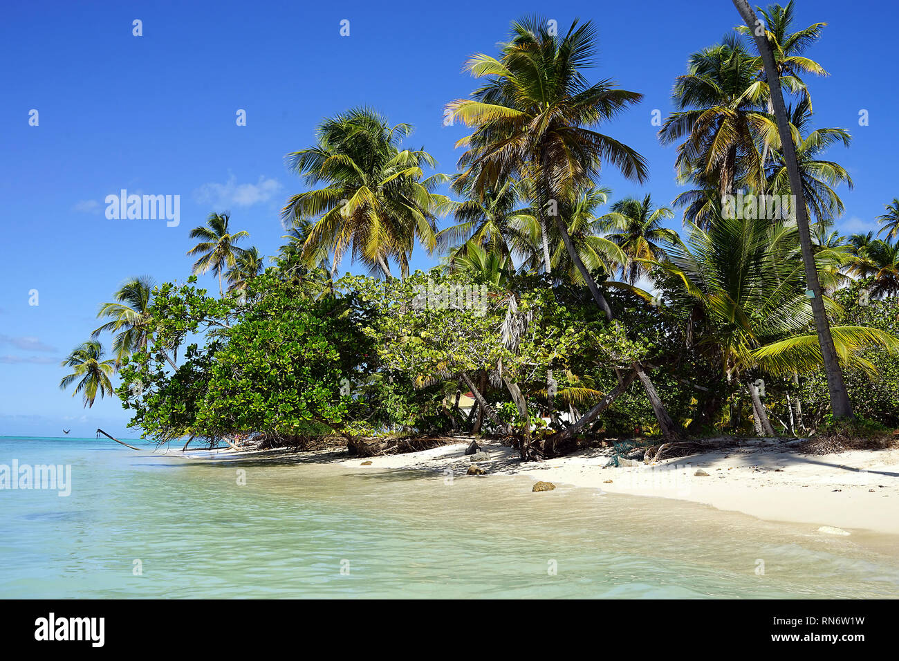 Pigeon point heritage park hi-res stock photography and images - Alamy
