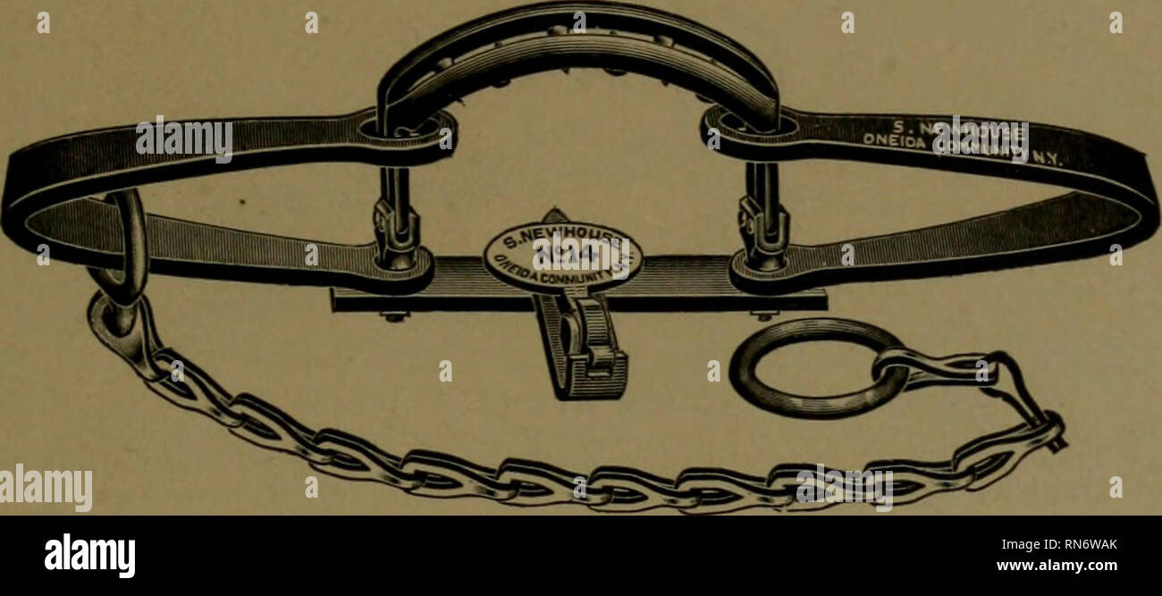 Beaver trap old hi-res stock photography and images - Alamy