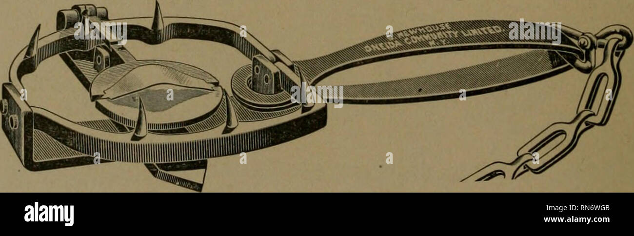 . Andersch bros. hunters and trappers guide illustrating the fur ...