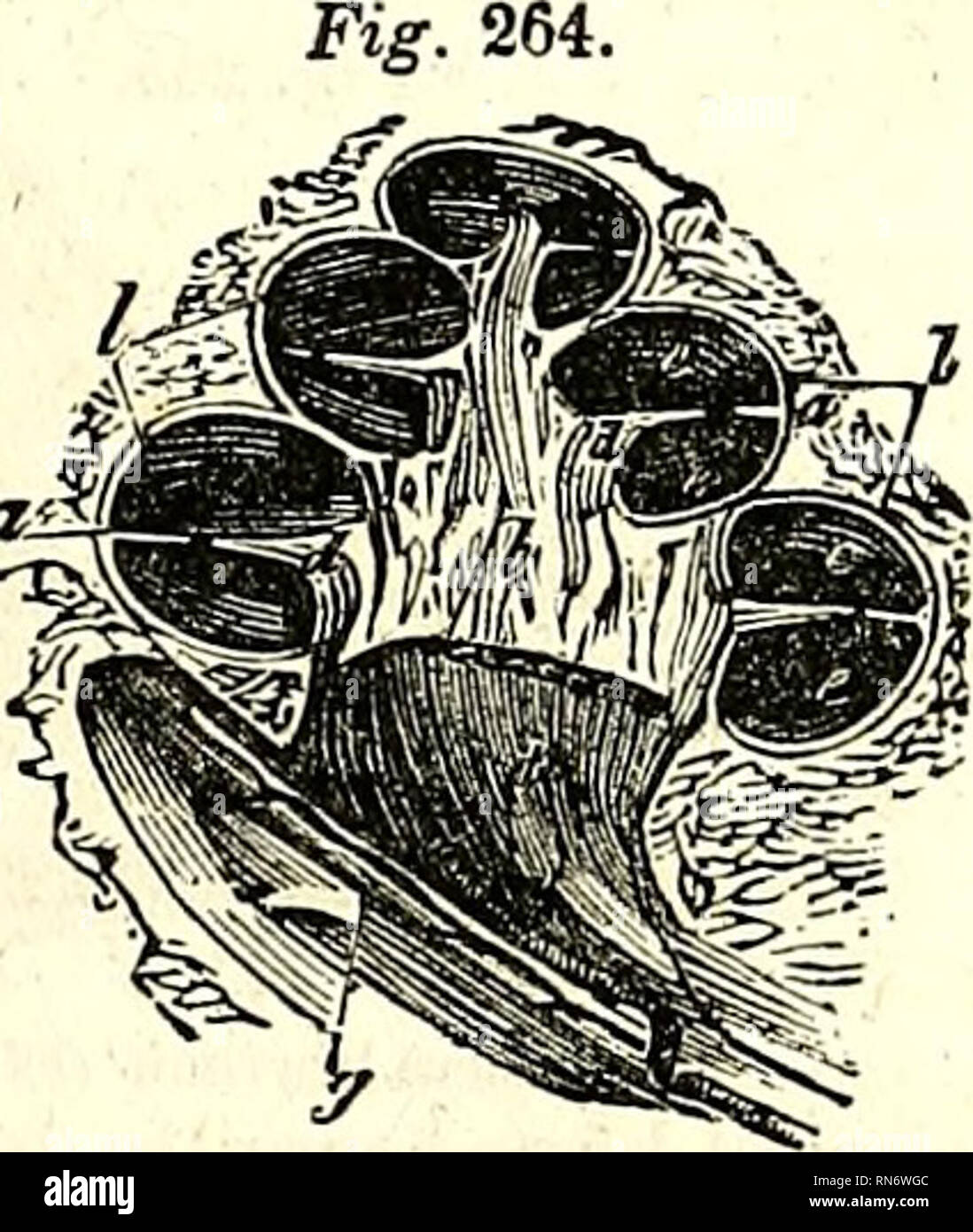 Triangular cupola hi-res stock photography and images - Alamy