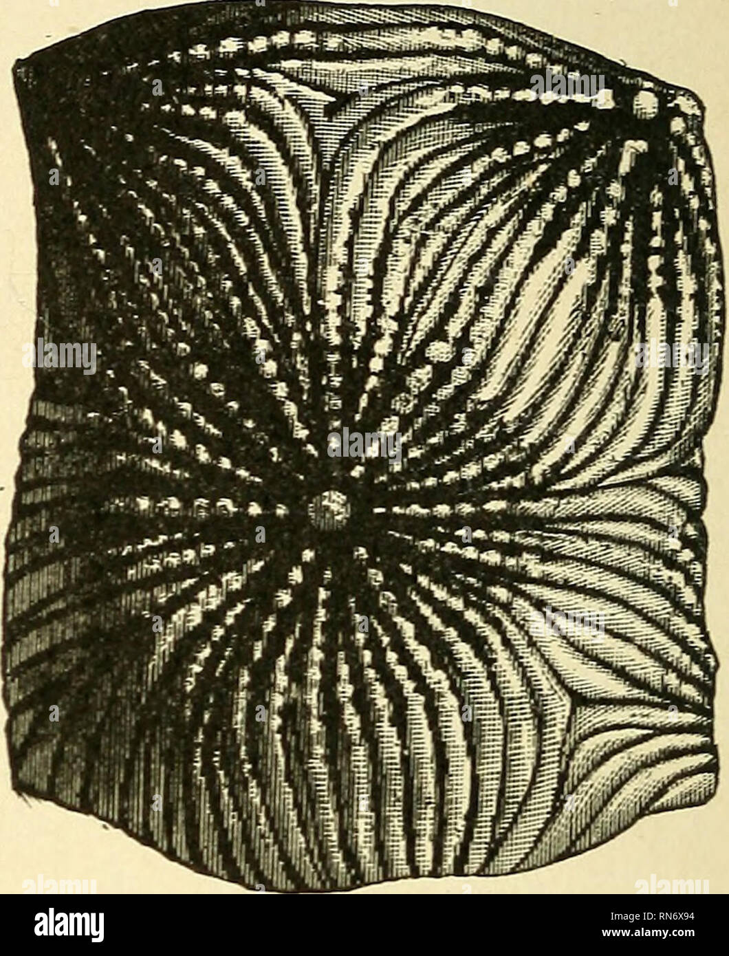 Lower greensand group hi-res stock photography and images - Alamy