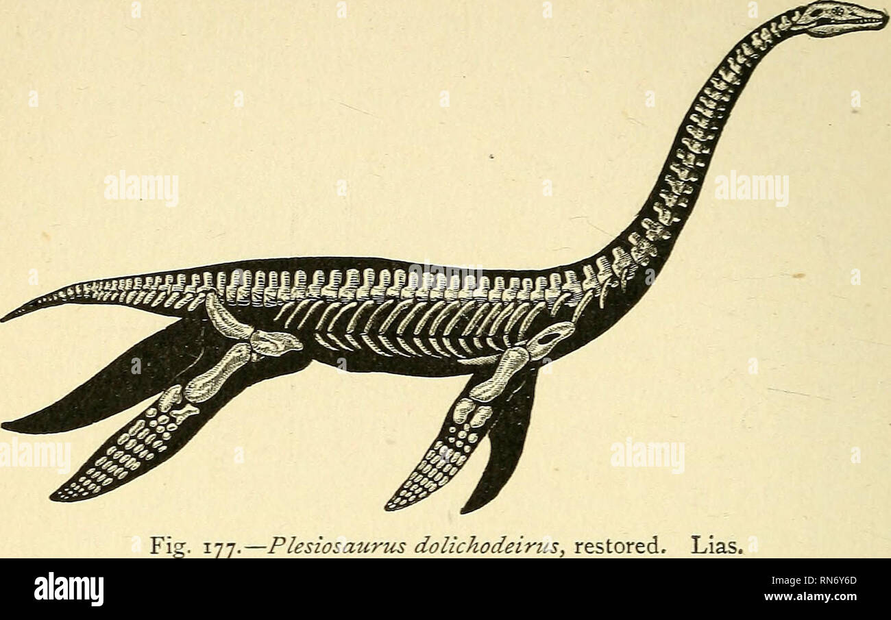 . The ancient life-history of the earth; a comprehensive outline of the ...