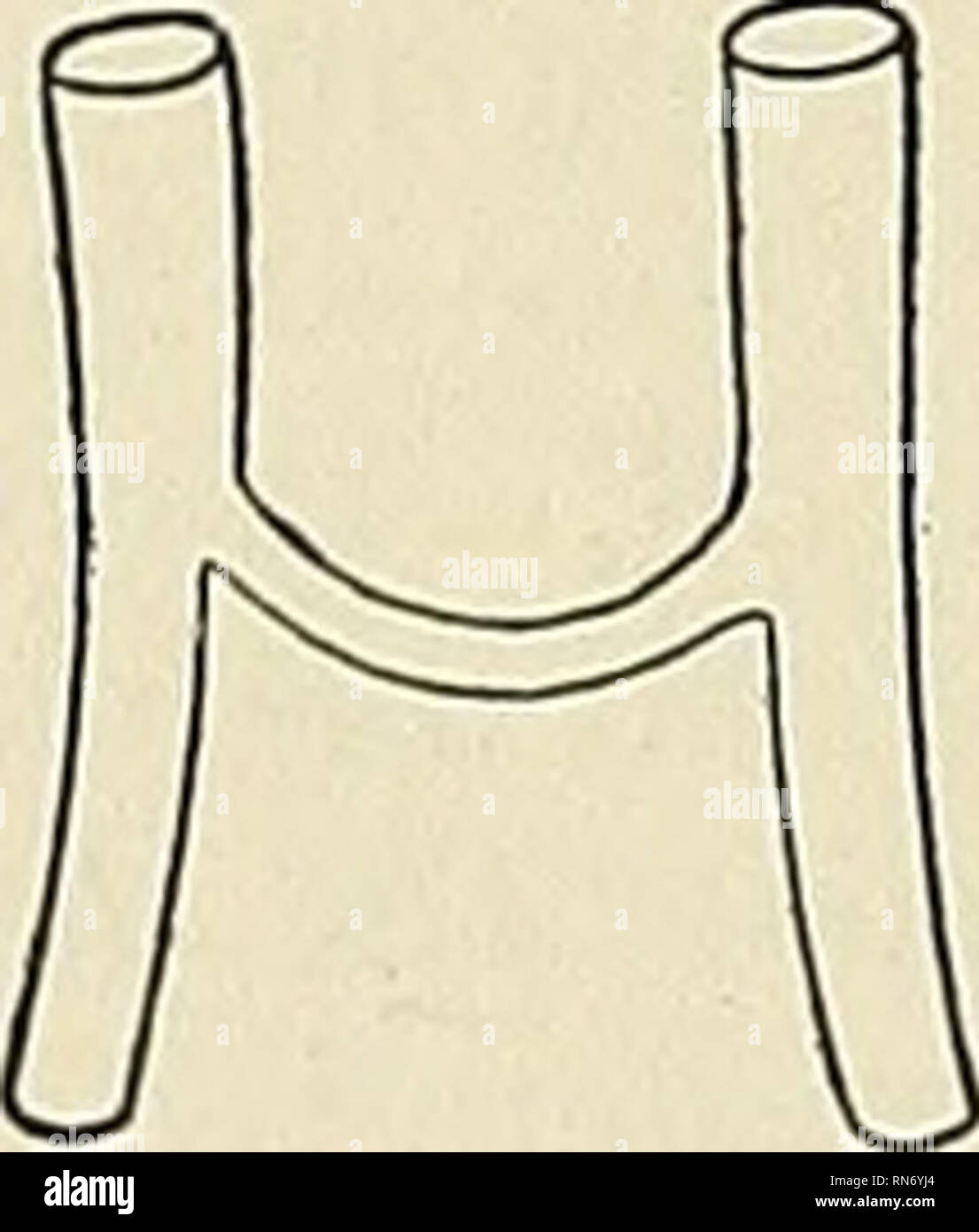 Galen anatomy hi-res stock photography and images - Alamy