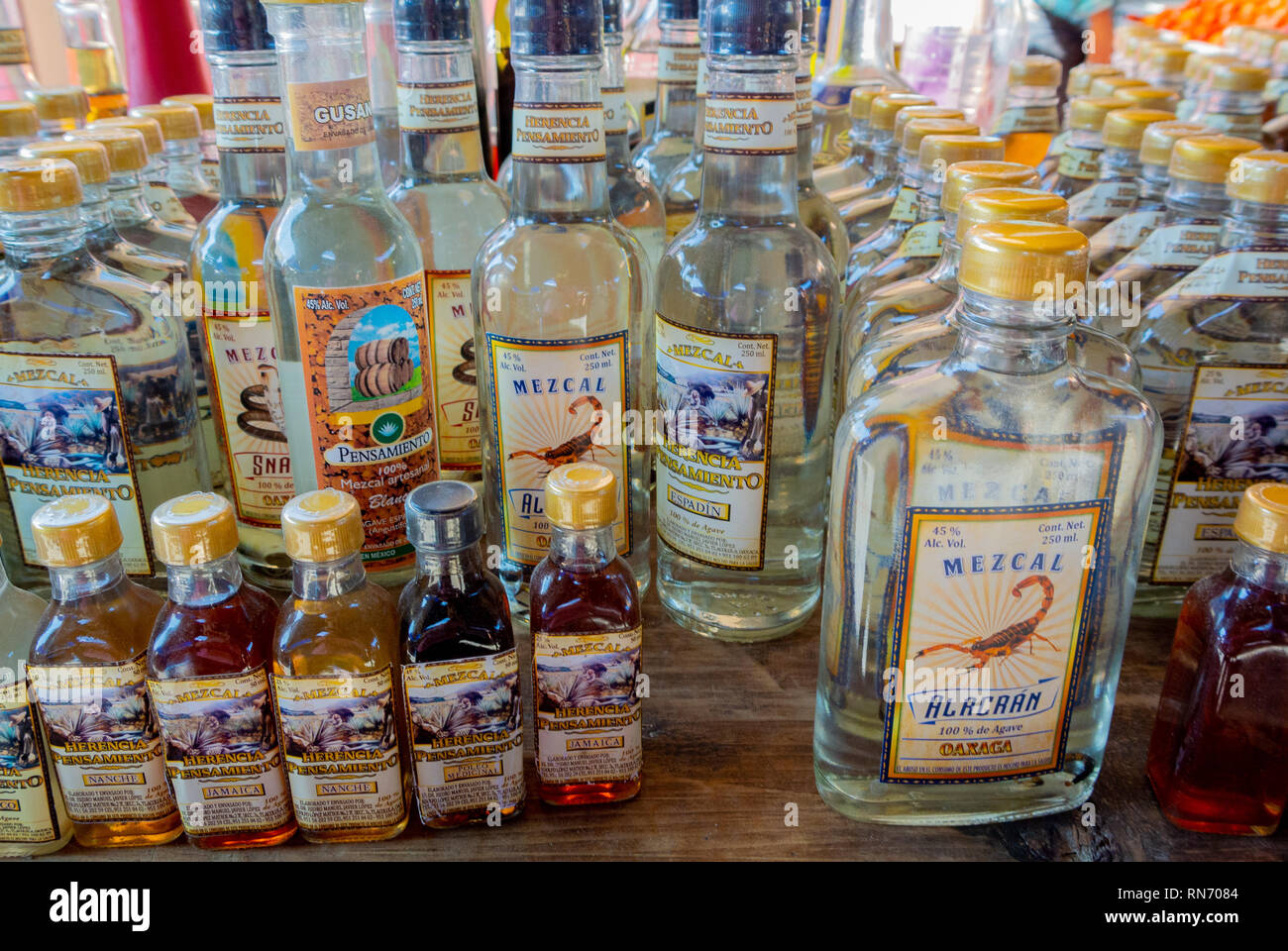 The bottles of Mezcal, the local spirits made of Agave(Maguey) plant ...