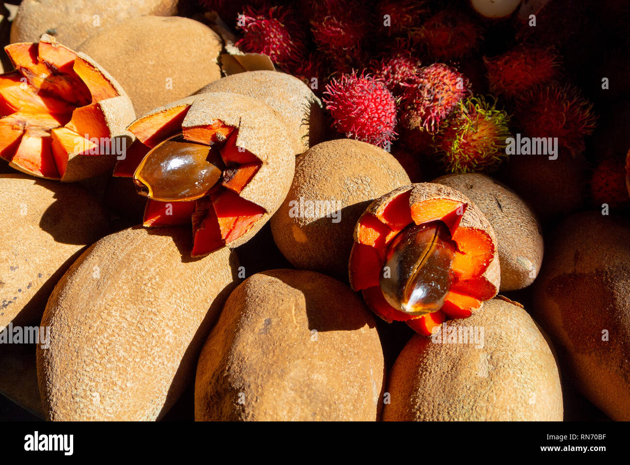 Zapote, tropical fruits at a stand of Tlacolula market, Oaxaca, mexico ...