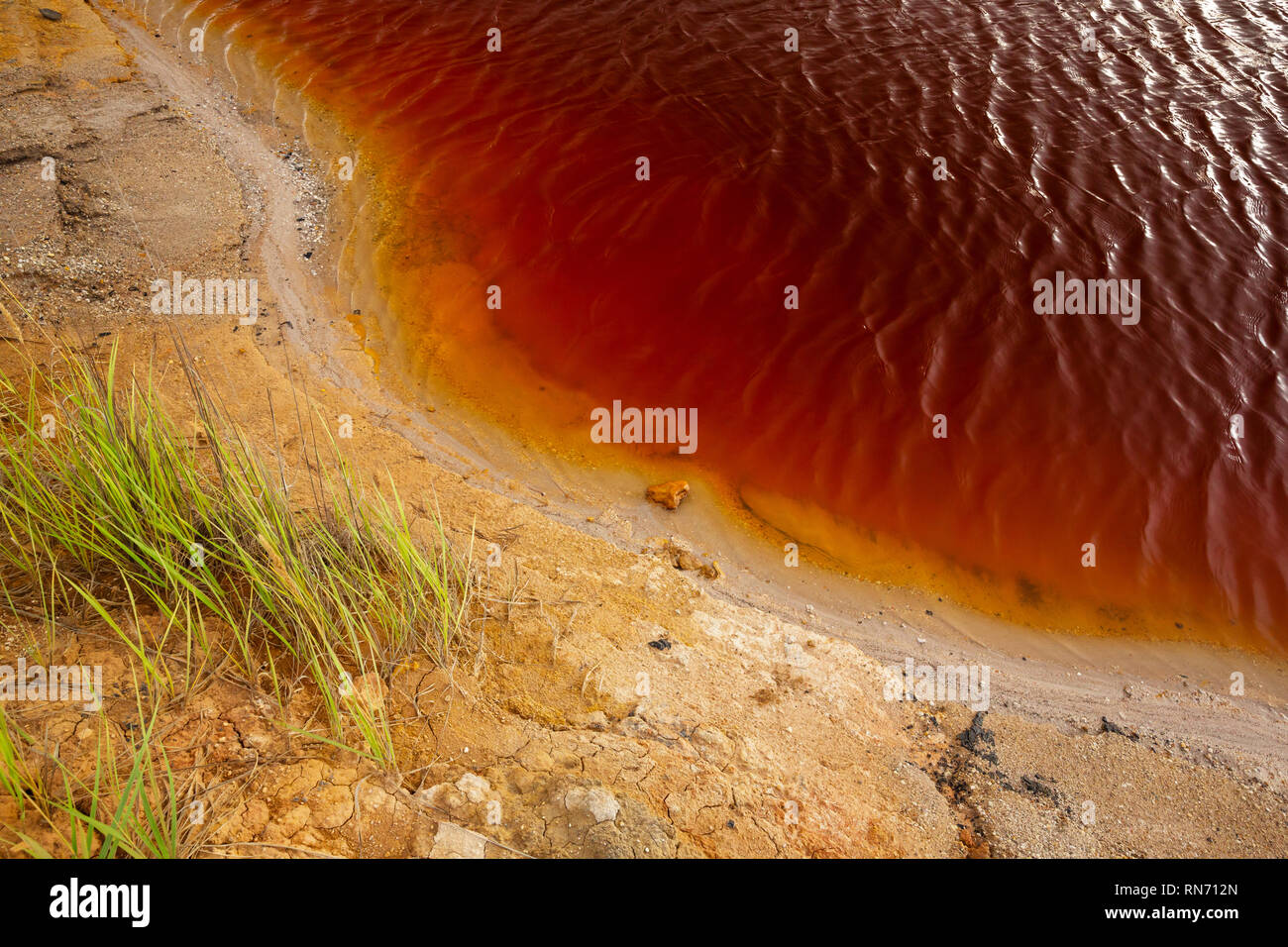 nature disaster, lake with polluted water Stock Photo - Alamy