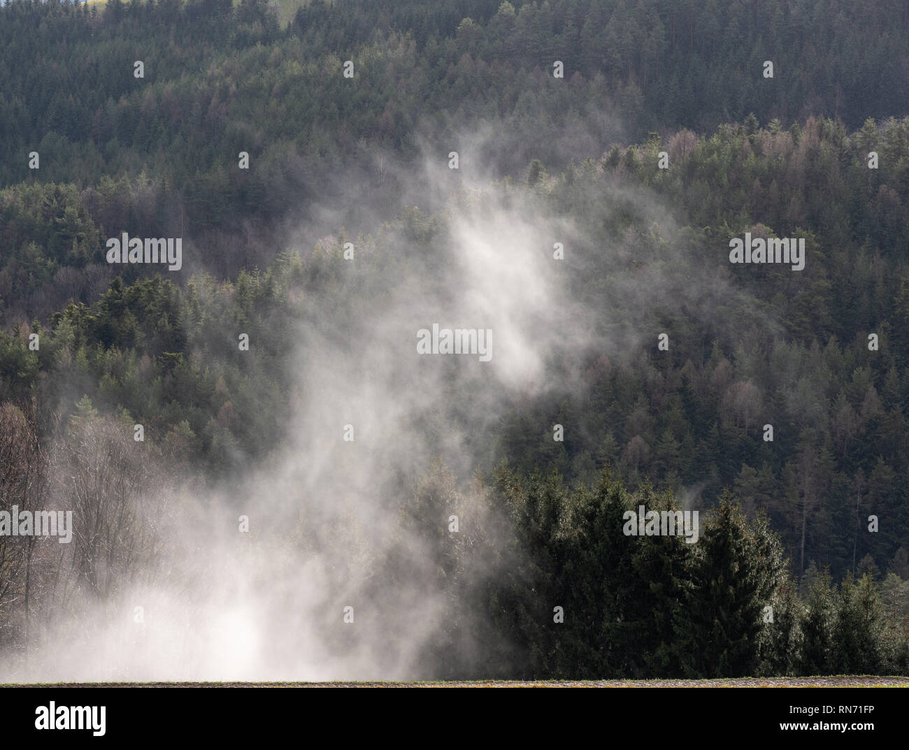 wafts of mist over a forest, scenic,mystical rural winter landscape ...