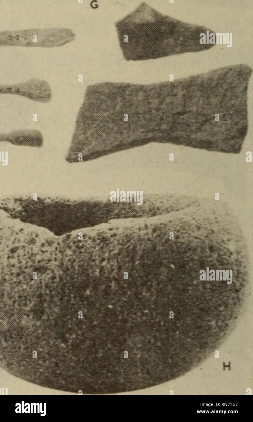 Shell used as tools hi-res stock photography and images - Alamy