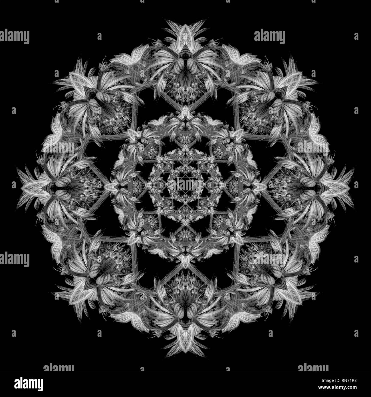 Concentric round floral ornament Black and White Stock Photos & Images ...