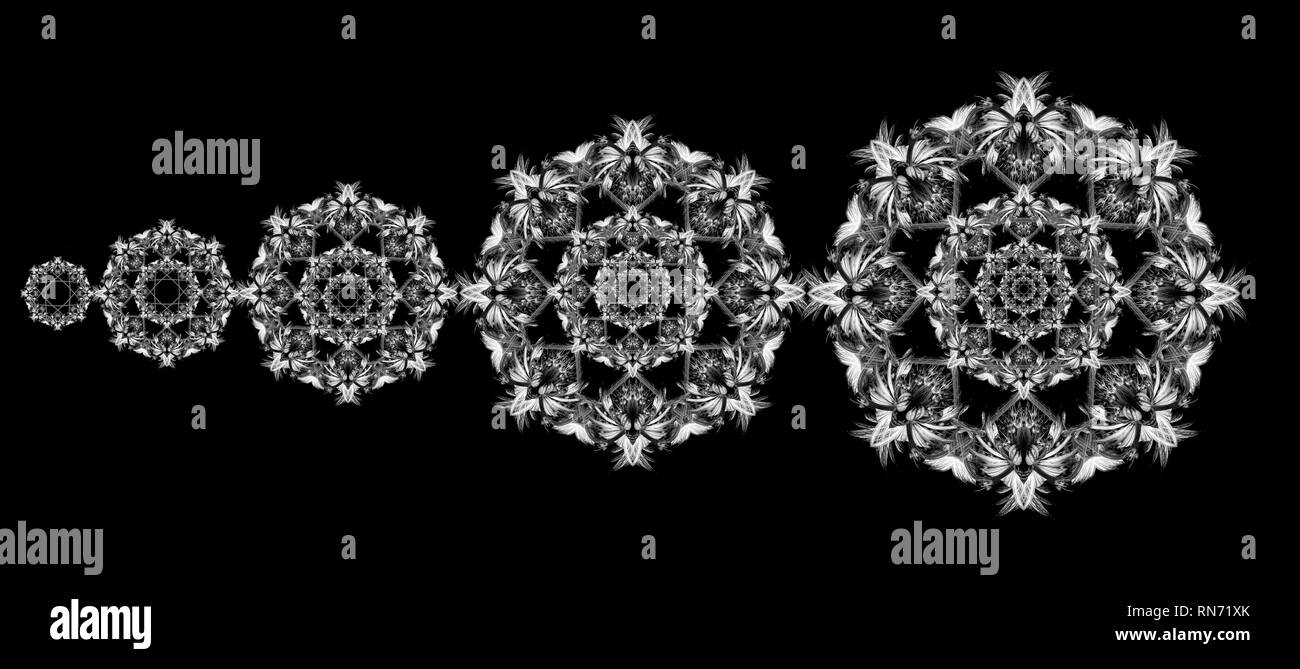 Fine art still life floral decorative geometrical symmetrical ...