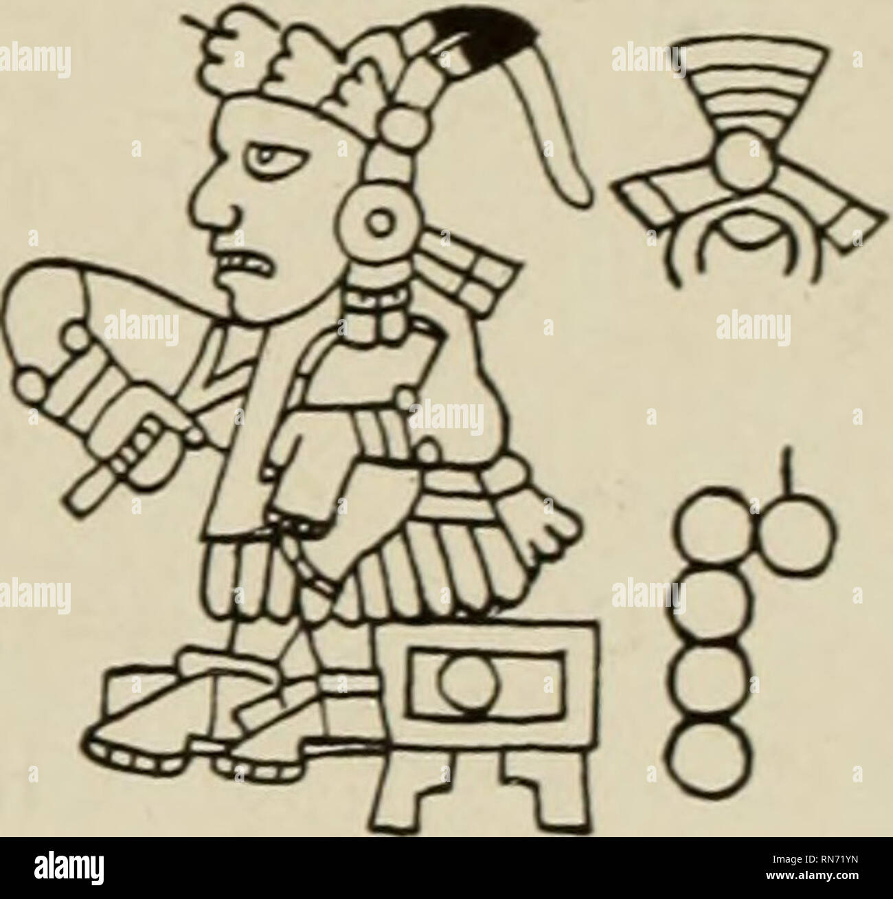 Turtle shell drum hi-res stock photography and images - Alamy