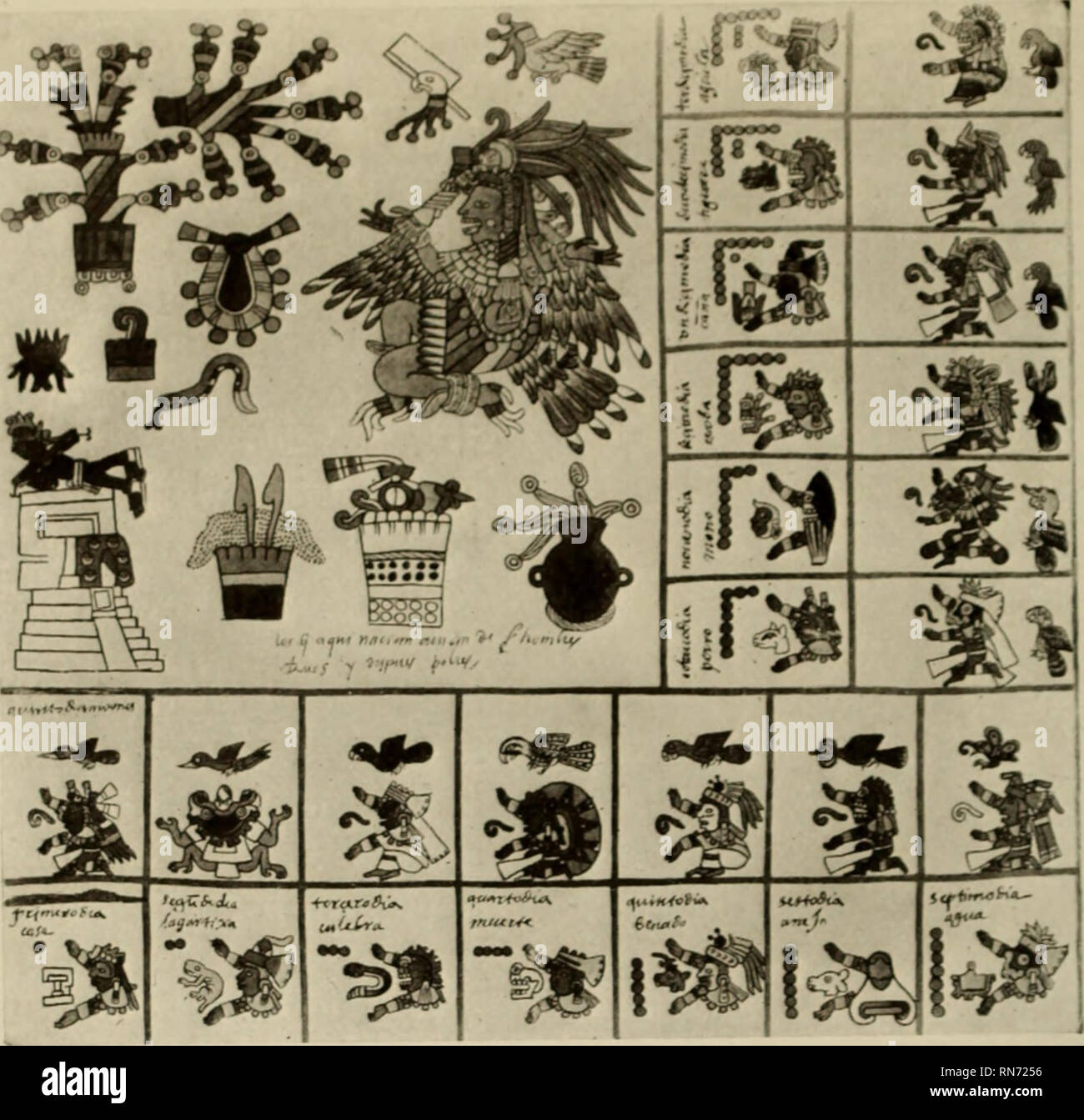 Codex borbonicus hi-res stock photography and images - Alamy