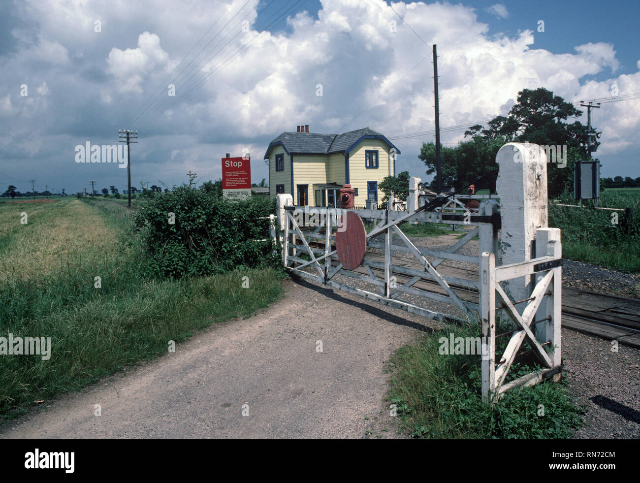 Tunstead, norfolk hi-res stock photography and images - Alamy