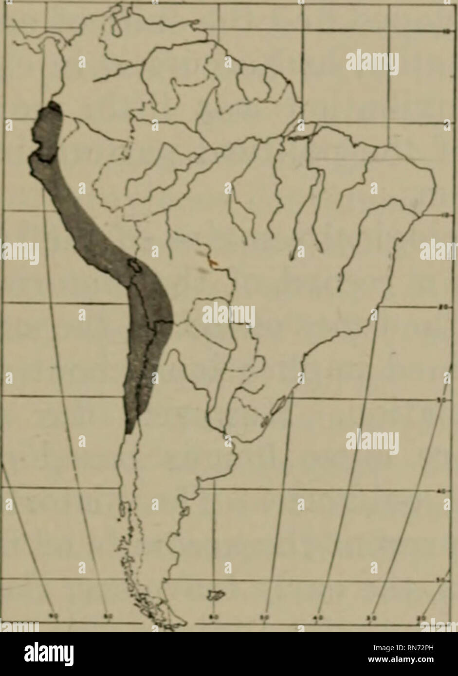 . Andean culture history. Incas; Indians of South America. THE CENTRAL ...