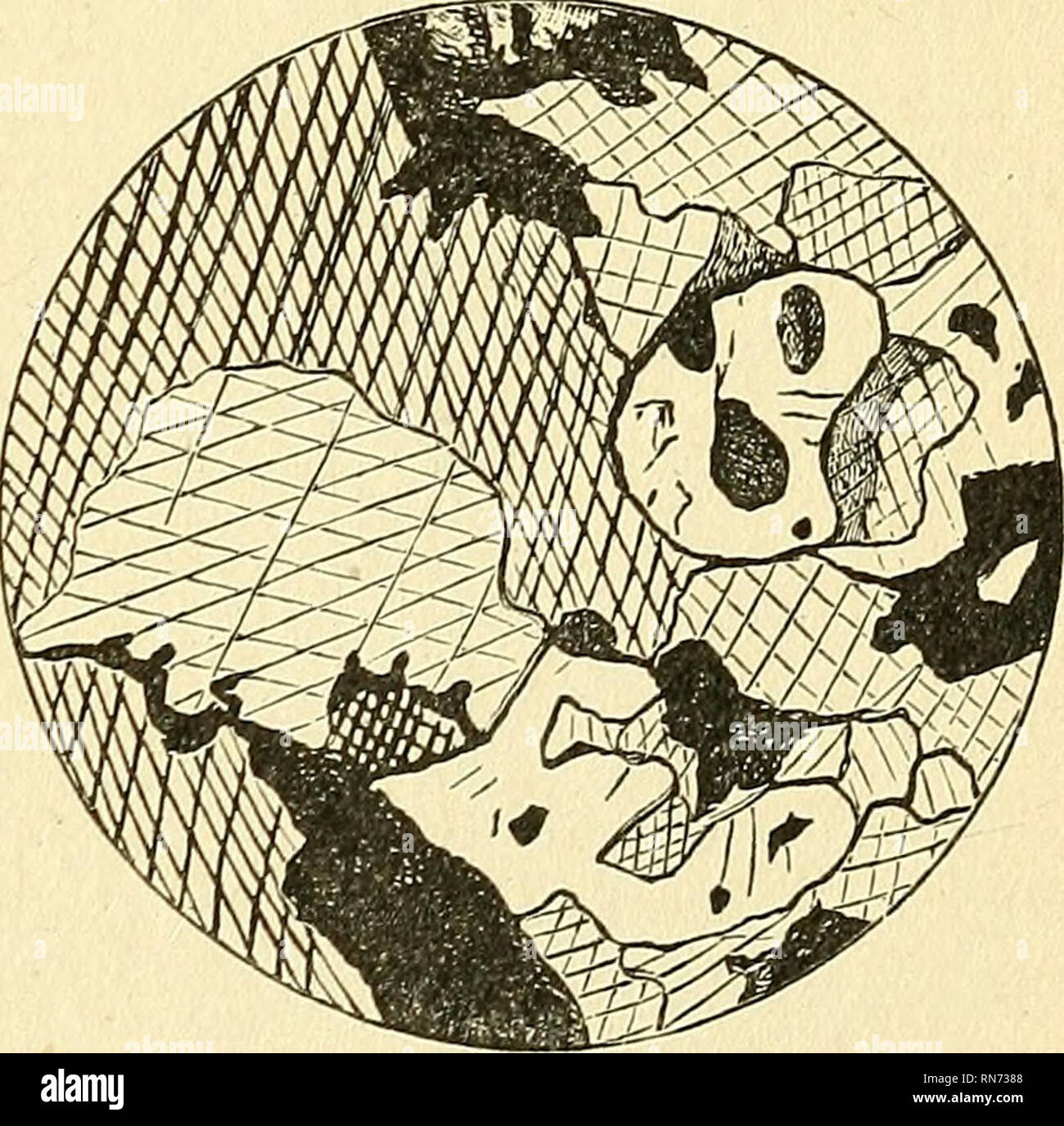 . The ancient life-history of the earth; a comprehensive outline of the ...