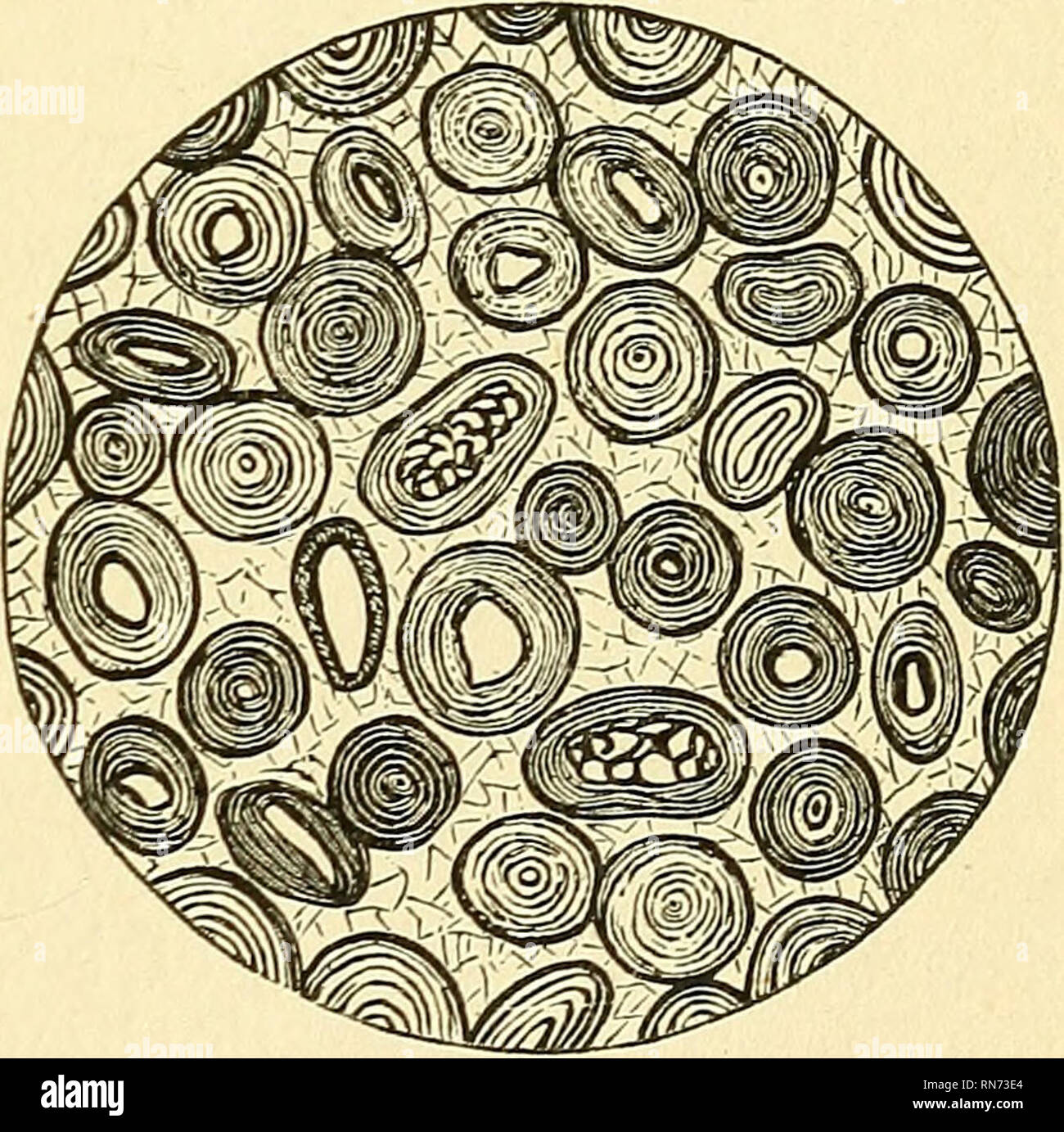 Egg like rocks hi-res stock photography and images - Alamy