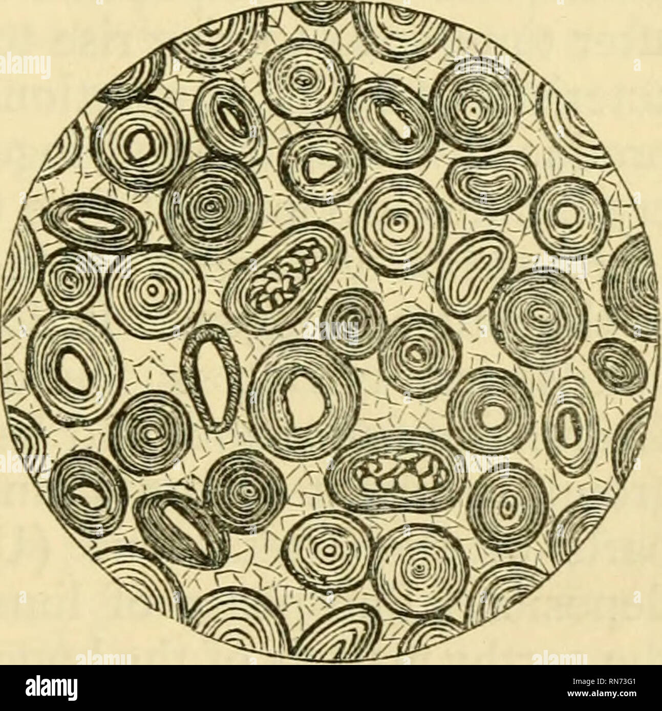 Egg like rocks hi-res stock photography and images - Alamy