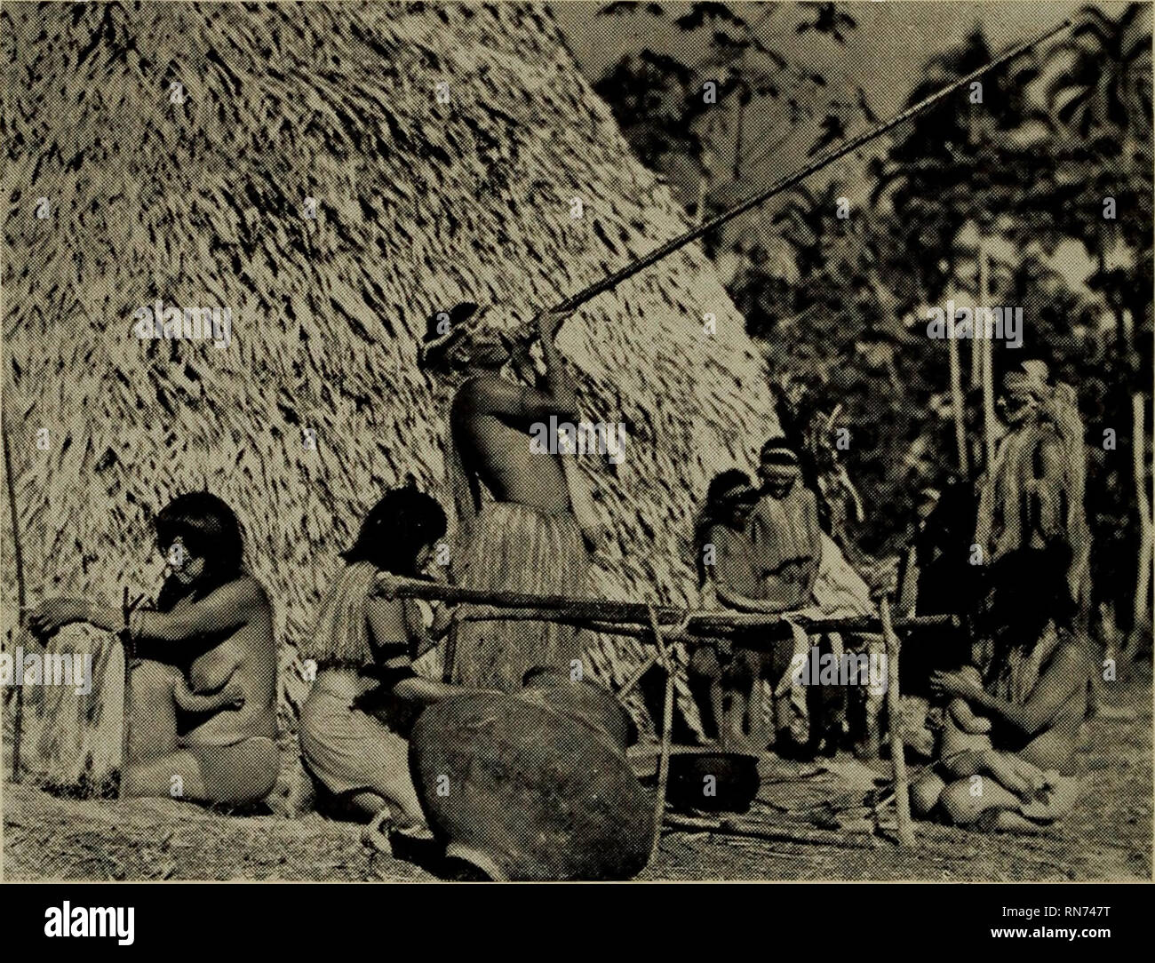 . Andean culture history. Incas; Indians of South America. 44 ANDEAN ...