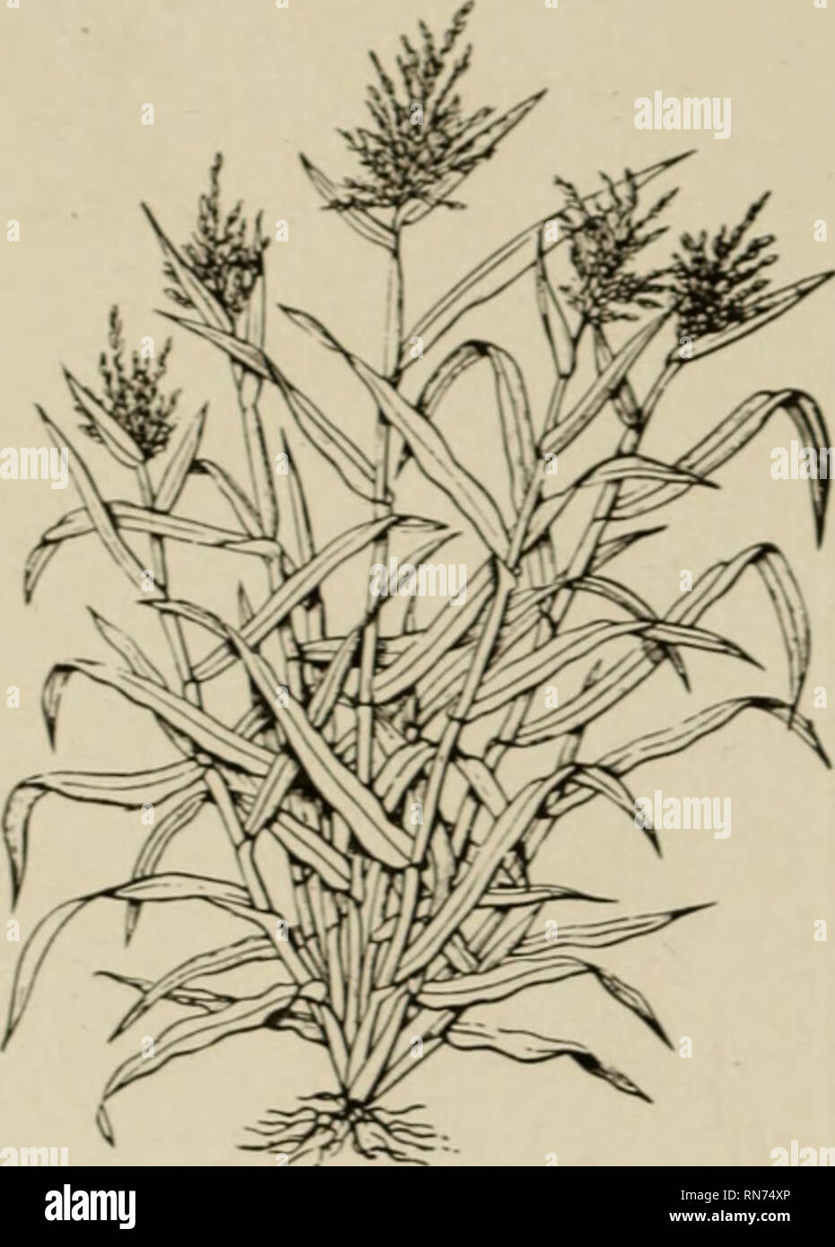 Making fire neolithic hi-res stock photography and images - Alamy