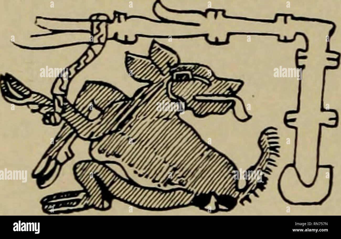 Mayan codex cortesianus hi-res stock photography and images - Alamy