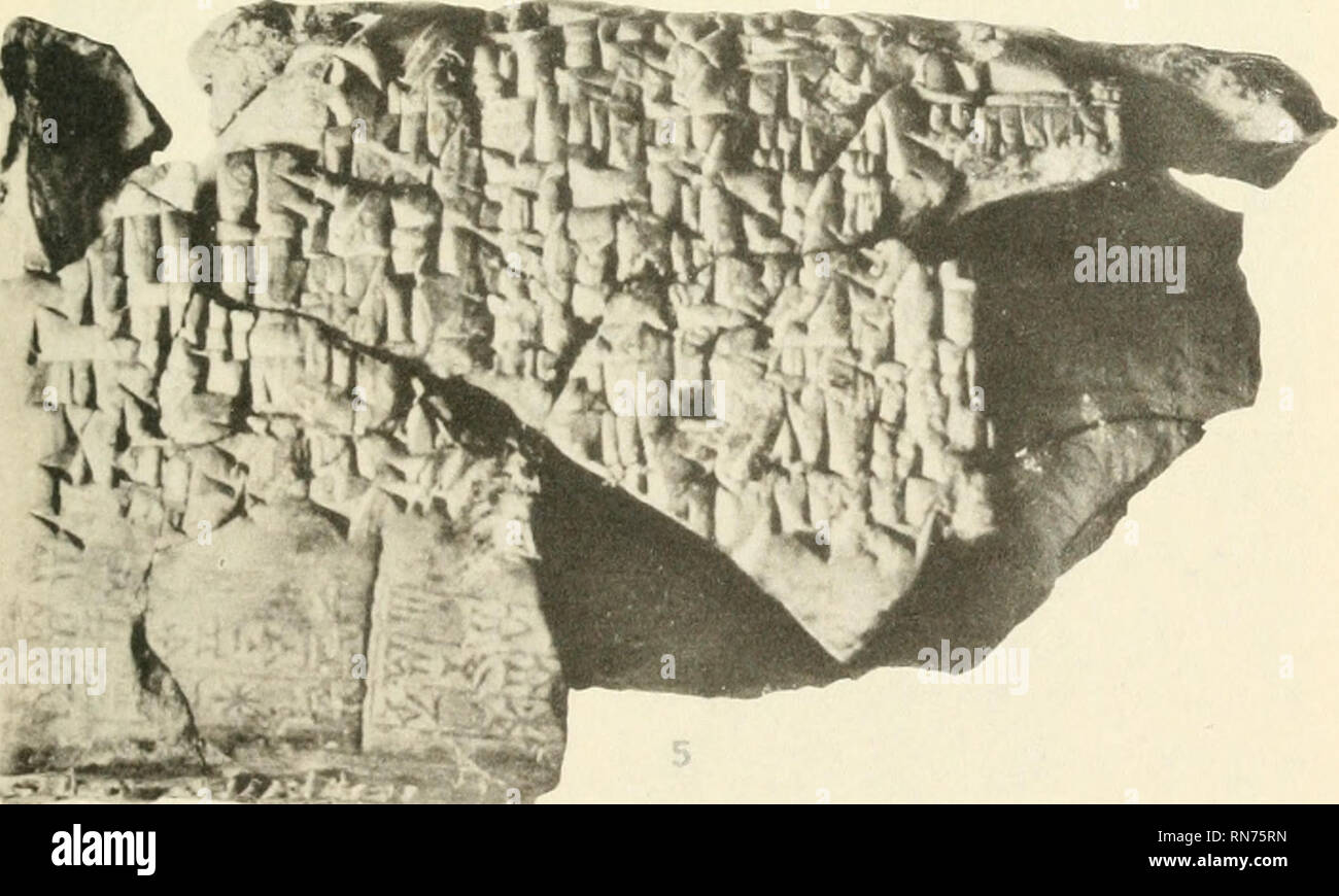 . Ancient seals of the Near East. Seals (Numismatics) -- Ancient; Seals ...