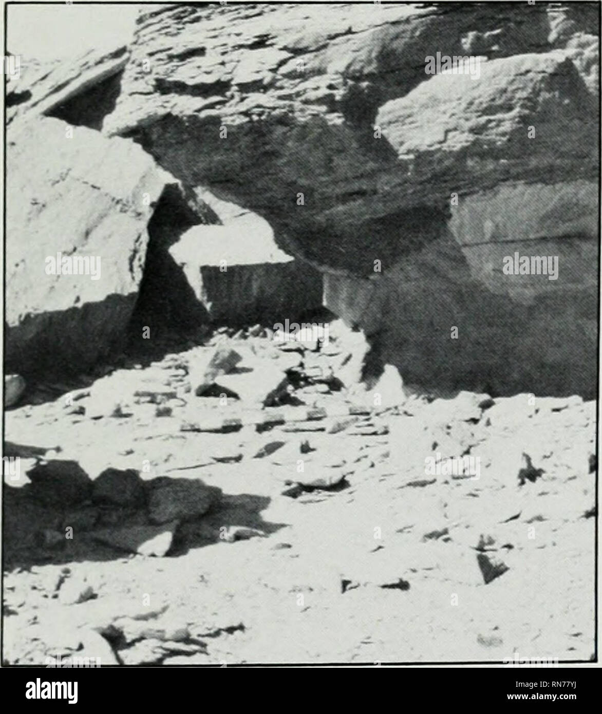 Predynastic Period High Resolution Stock Photography and Images - Alamy