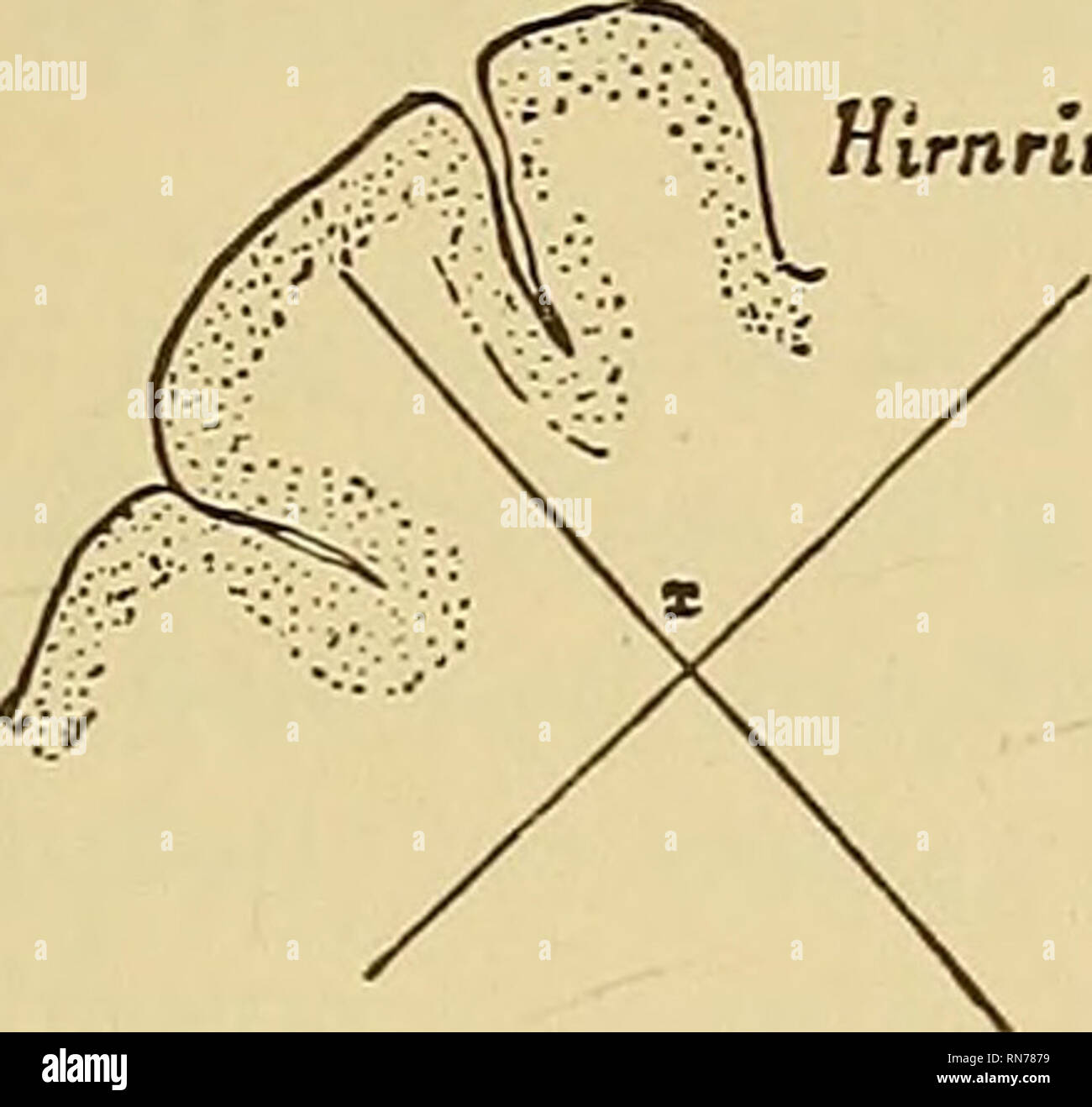 Lateral line disease hi-res stock photography and images - Alamy