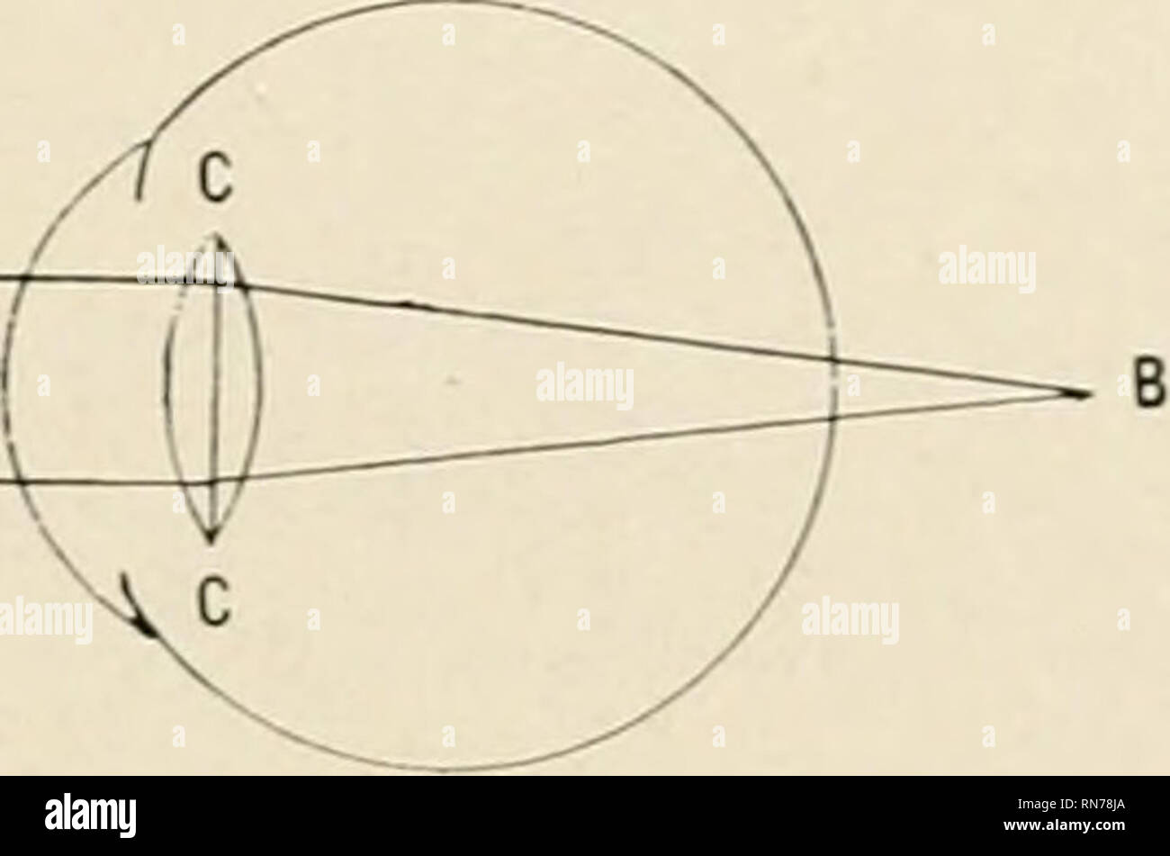 Meckels cave hi-res stock photography and images - Alamy