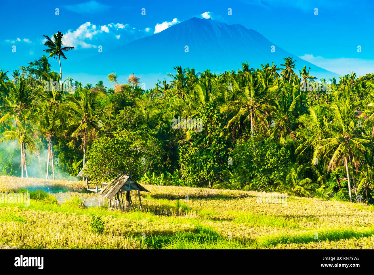 Beautiful Mount Agung volcano view from Ubud rice fields, Ubud, Bali ...