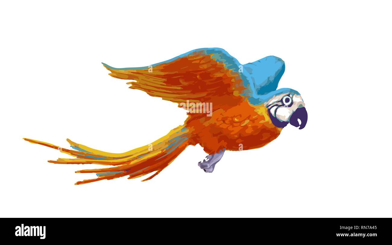Scarlet Macaw Flying Animation