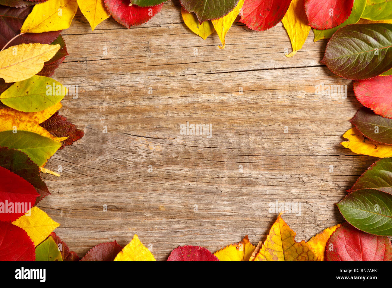 Autumn leaves border on rustic background. top view Stock Photo - Alamy