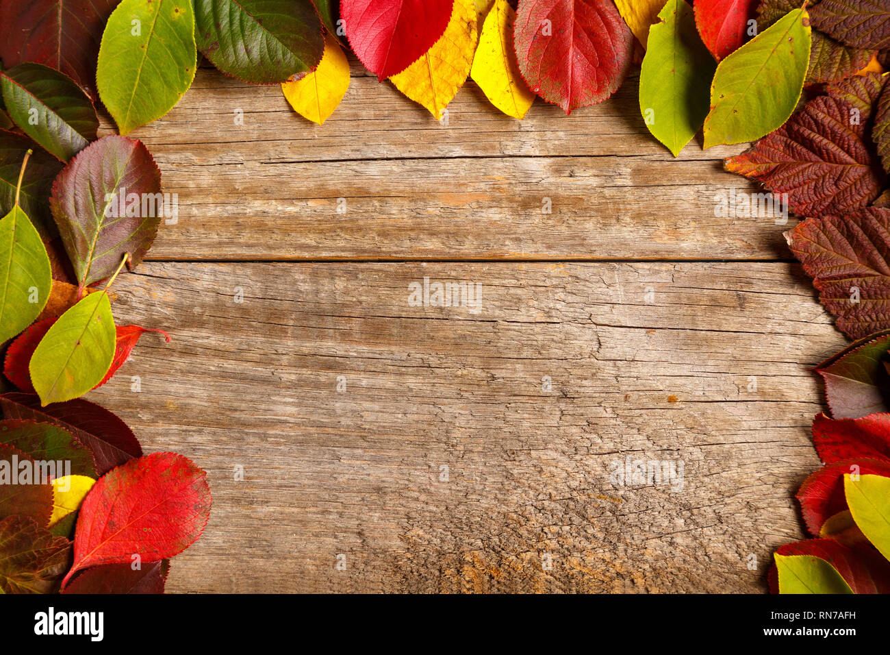 Autumn leaves border on rustic background. top view Stock Photo - Alamy