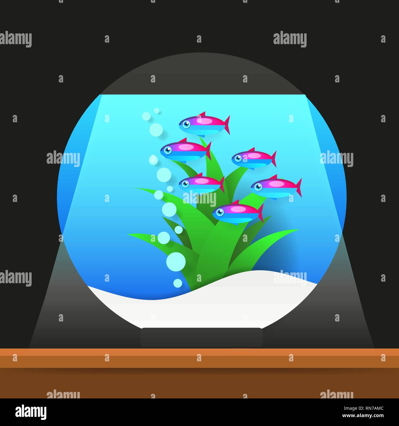 Cartoon Freshwater Fishes In Tank Aquarium Vector Illustration. Exotic ...