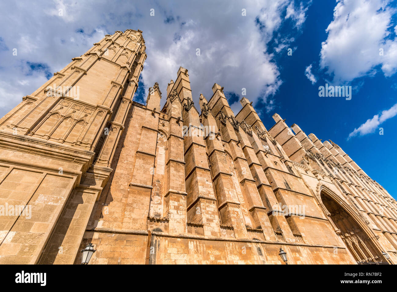 Side view of Catedral de Mallorca (La Seu), Gothic cathedral in Palma ...
