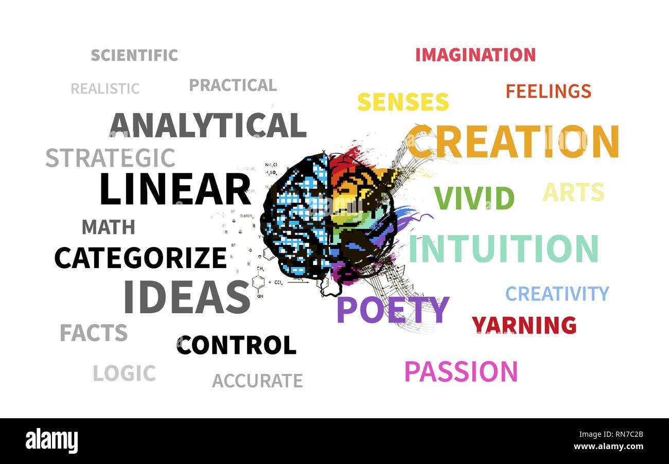 Technical and creative hemispheres on human brain, text infographic on ...