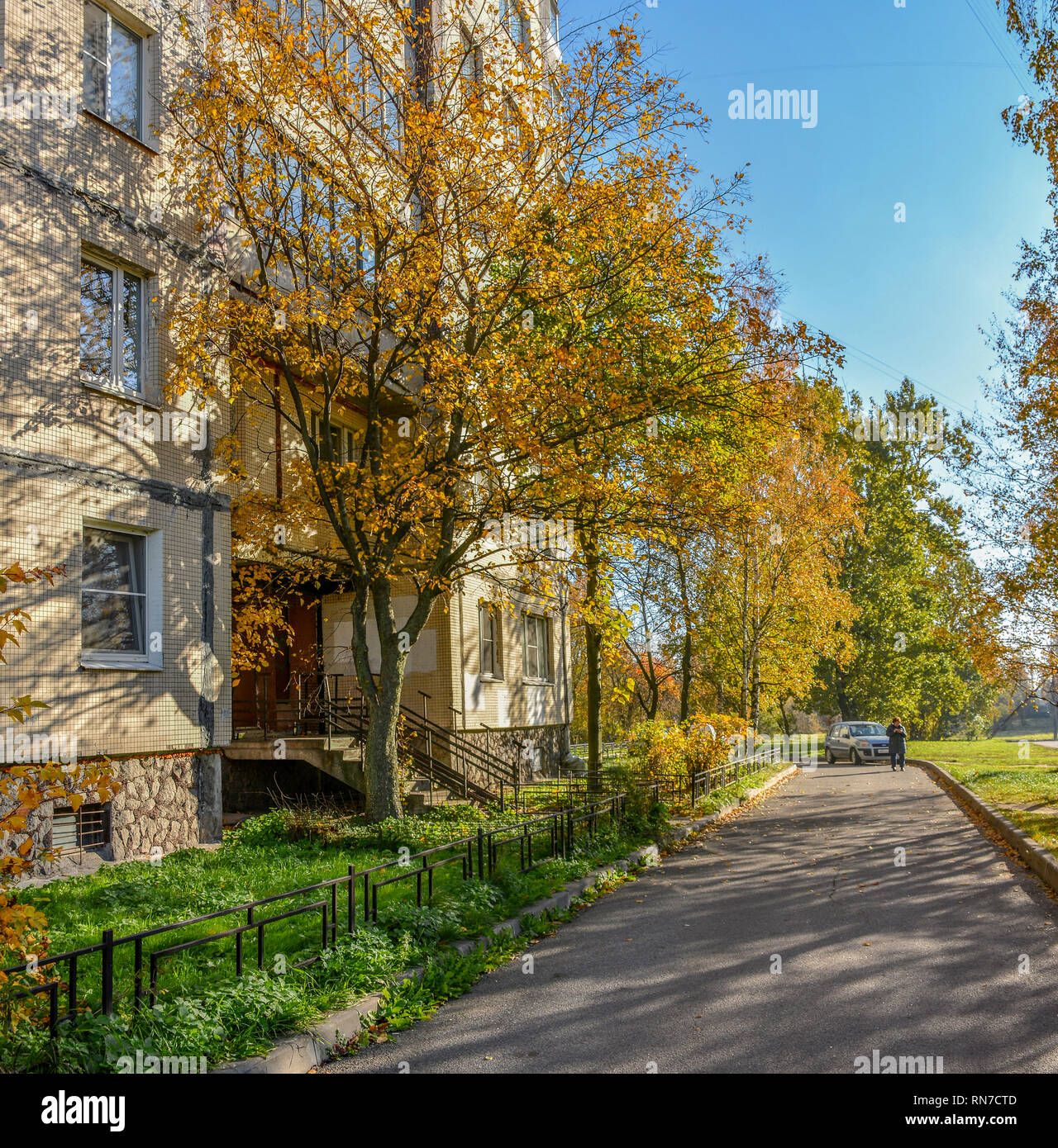 Golden autumn on the streets of St. Petersburg. Different trees in the ...