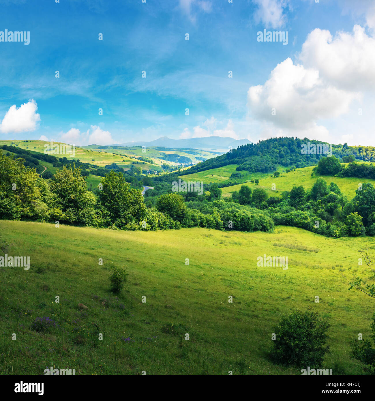 beautiful countryside summer landscape. forested rolling hill with ...