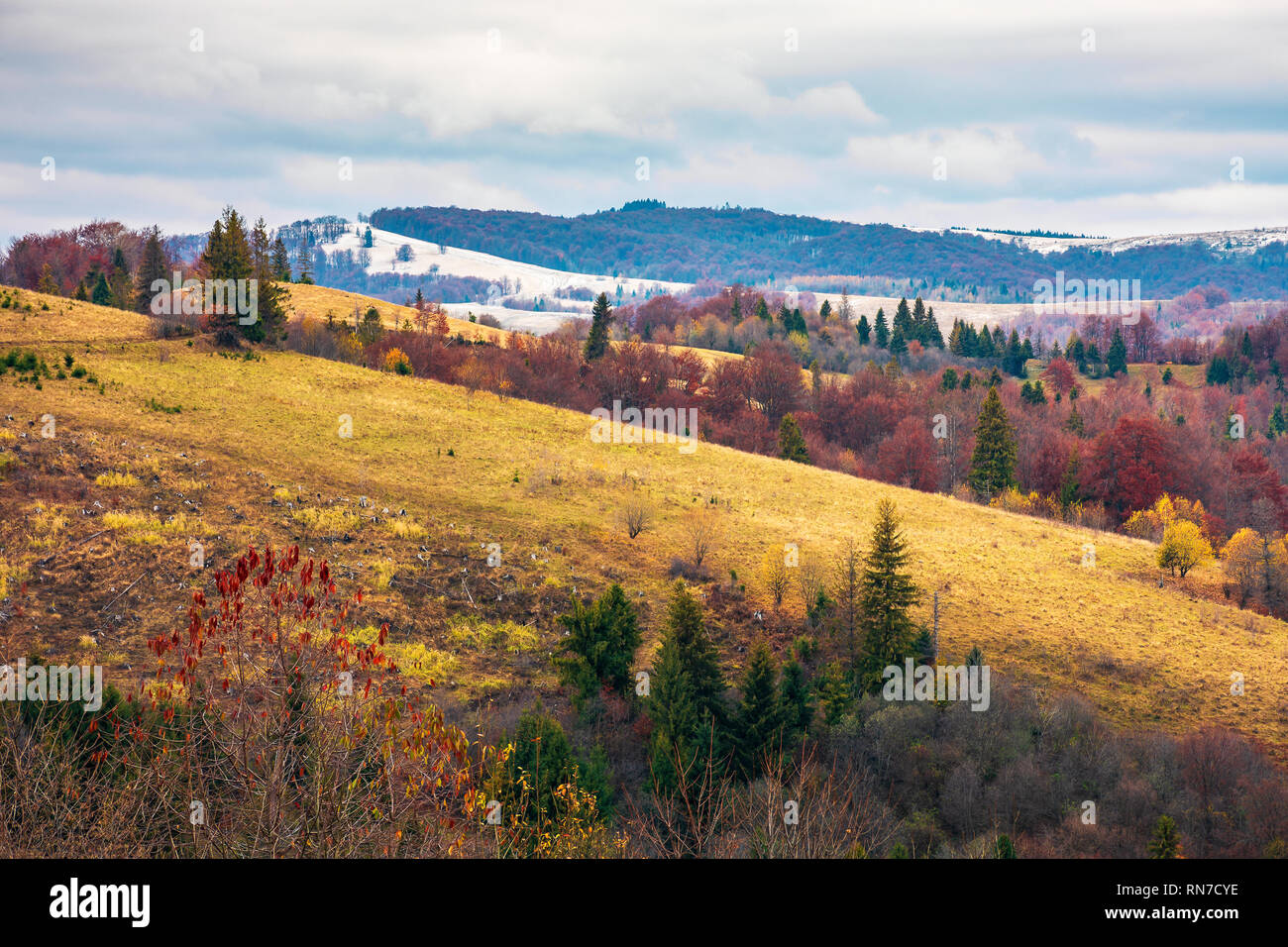 late autumn in mountains. meadow with weathered grass and trees in fall ...