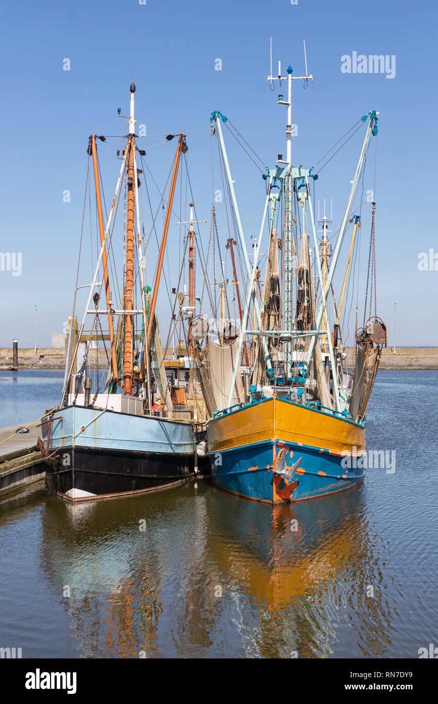 Prawn fishing boats in Dutch harbor Lauwersoog Stock Photo - Alamy