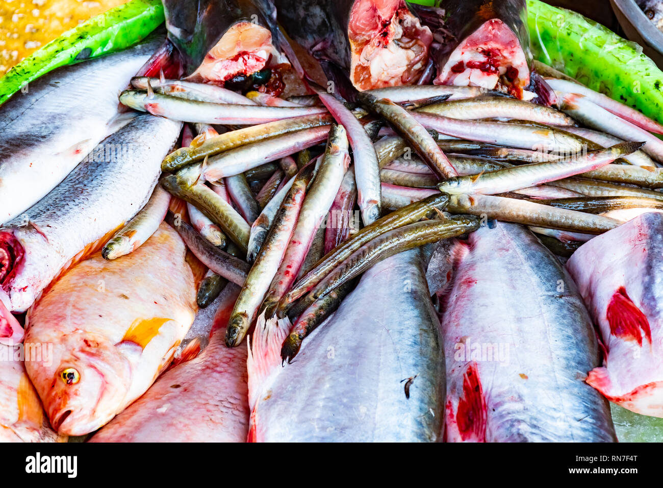 Fresh fish on market in Phu Quoc Island, Vietnam, Asia Stock Photo - Alamy
