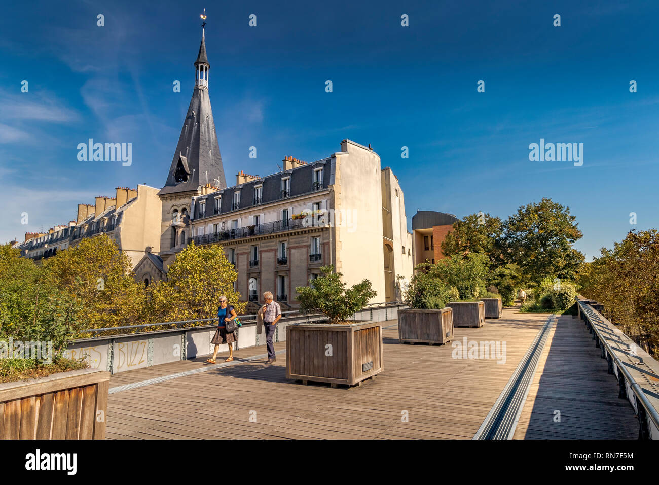 Wooden Elevated Boardwalk High Resolution Stock Photography and Images ...