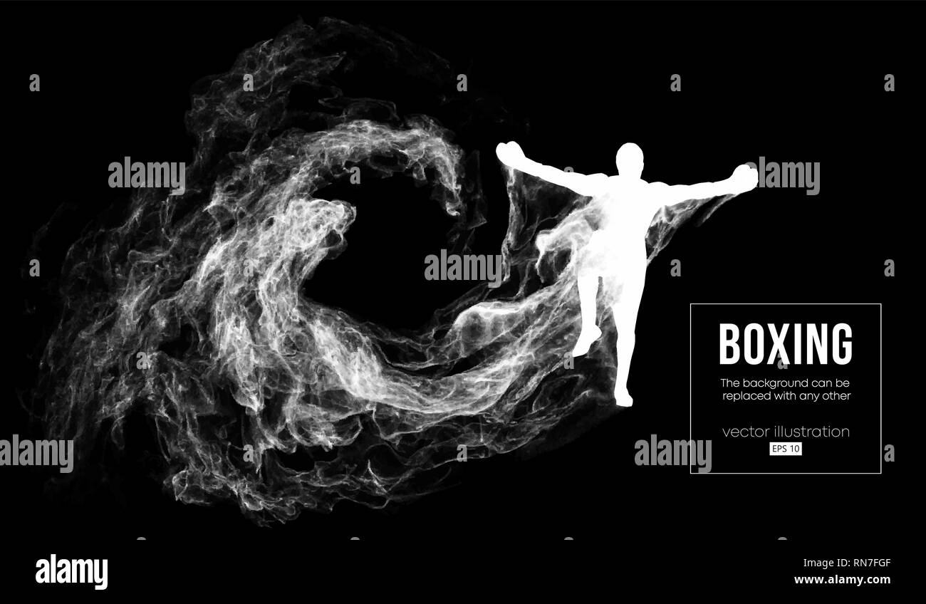 Abstract silhouette of a boxer, mma, ufc fighter Stock Vector Image ...