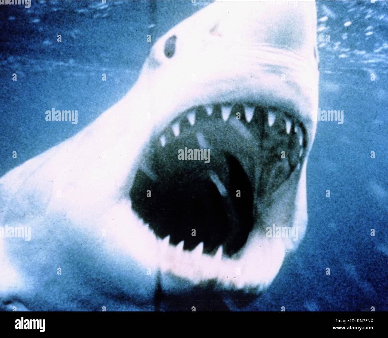 Shark film hi-res stock photography and images - Alamy