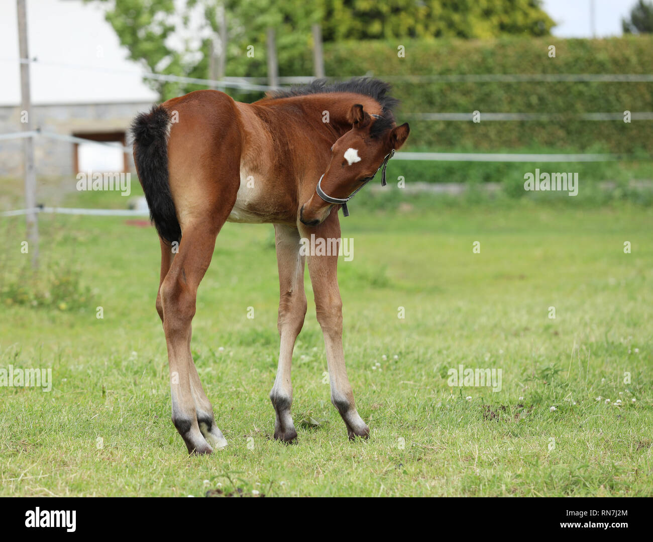 Itchy Skin High Resolution Stock Photography and Images - Alamy