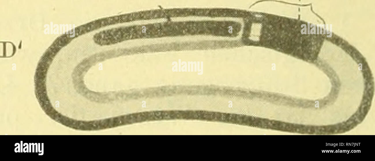 Schemata 1 hi-res stock photography and images - Alamy