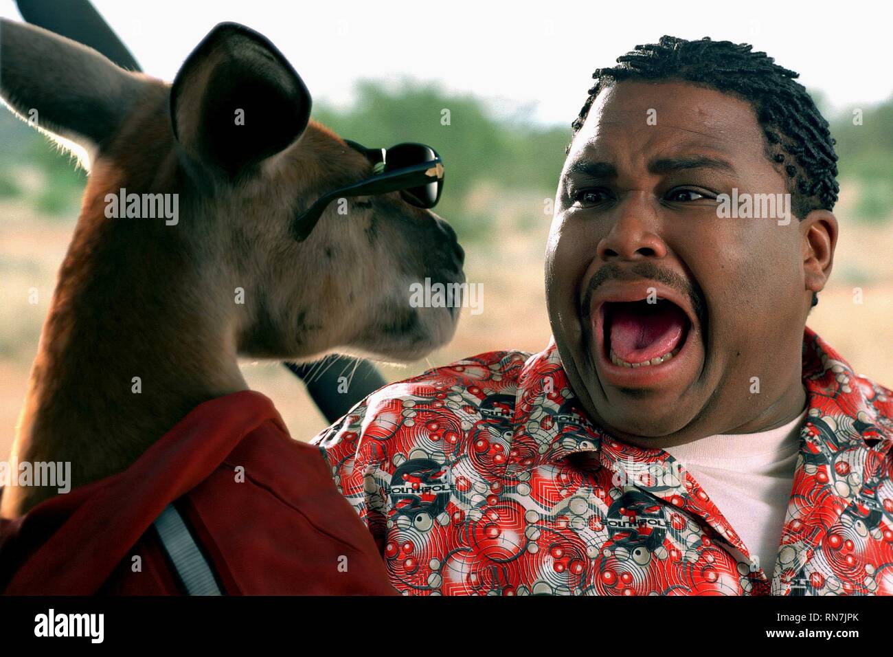 Canguro Jack High Resolution Stock Photography and Images - Alamy