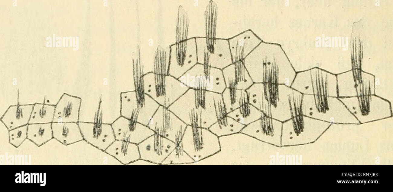 Punktform hi-res stock photography and images - Alamy