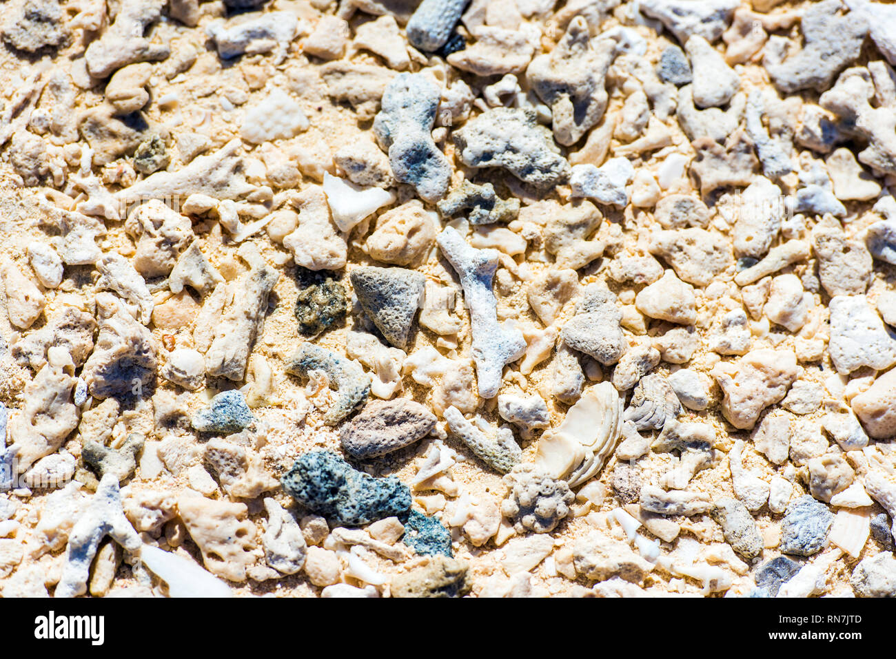 Pacific islands texture hi-res stock photography and images - Alamy