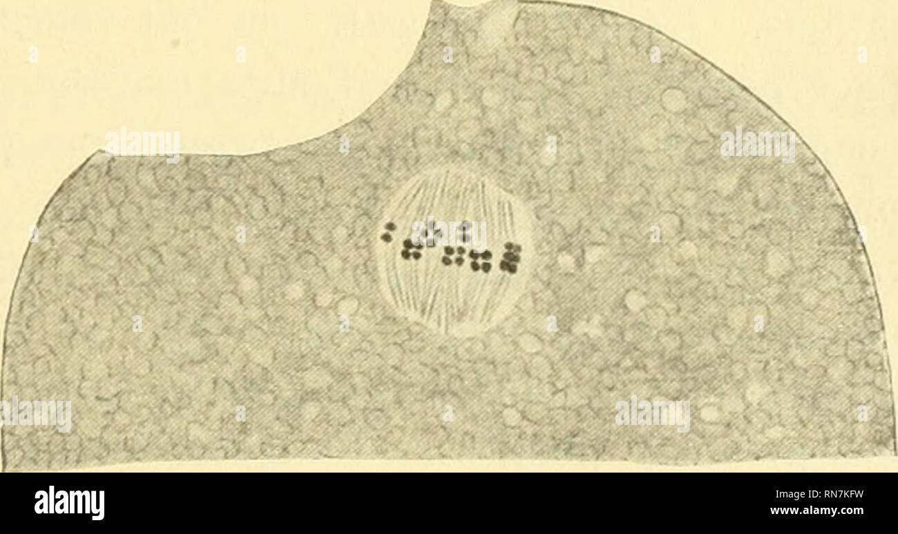 Sur les quatre elements hi-res stock photography and images - Alamy