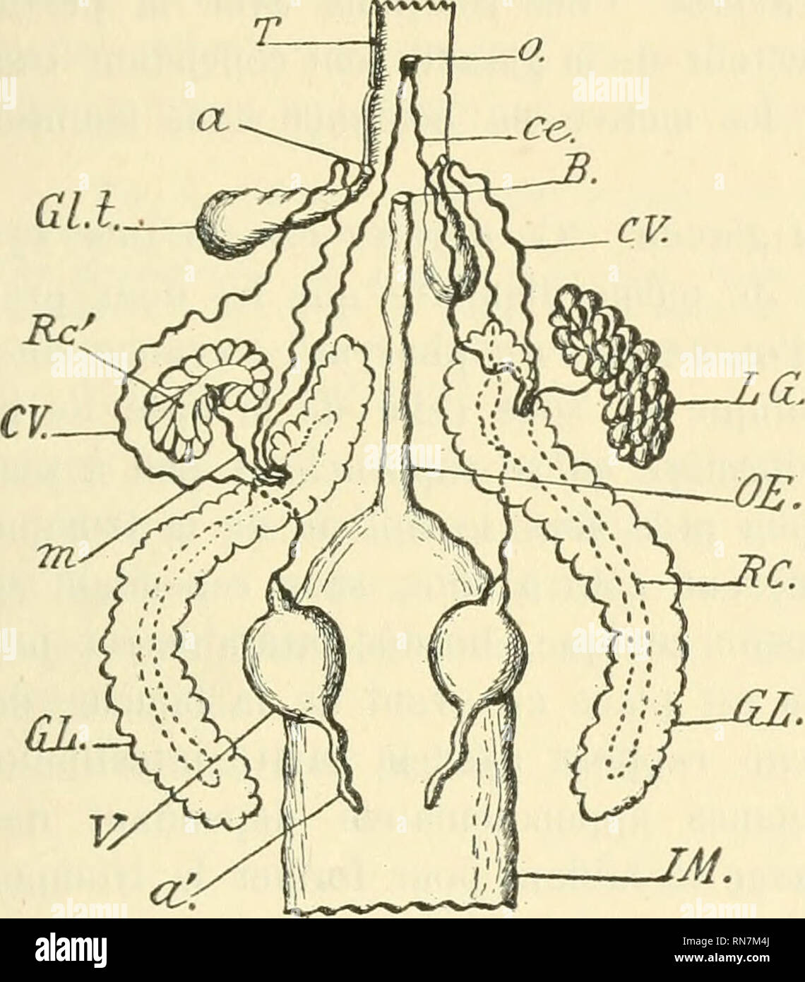 Conduit court hi-res stock photography and images - Alamy